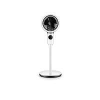 China Remote Control Electric Standing Fan with Adjustable Height and Rechargeable Battery for sale