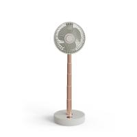 China Household HY-350-12 Indoor Oscillating Pedestal Fan with Fashional Featured Function for sale