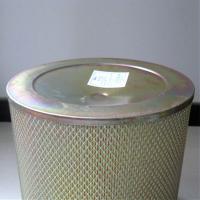 China factory supply Dust collector special high efficiency dust filter element  Polyester air dust filter for sale
