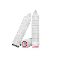 China Double Layer PES Pleated Filter Cartridge For Wine Beverage Juice Drinking Water for sale