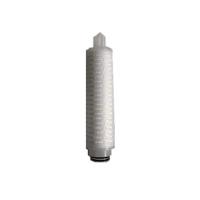 China High Purity PES Pleated Filter Cartridge 0.2 Micron 20 Inch DOE Wine Alcohol Filter for sale