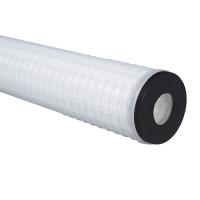 China 30 Inch Pleated PES Membrane Filter Cartridge 0.22 Micron 89mm ID for sale