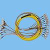 China 12 cores Fiber Optic Patch Cord for sale