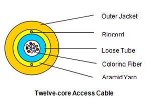 China Twelve-core Access Cable for sale
