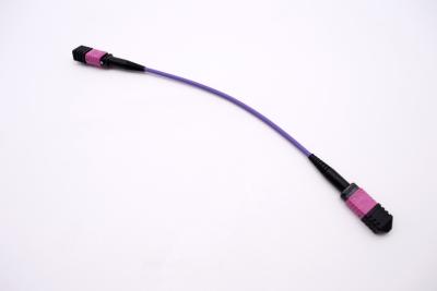 China OM4 24 core MTP fiber optical Patch Cord For Data processing networks for sale