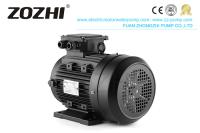 China Three Phase Hollow Shaft Motor Clockwise Rotation For High Pressure Washer for sale
