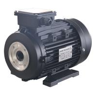 China Zozhi High Torque Hollow Shaft Electric Motor 3kw 4hp For Interpump for sale