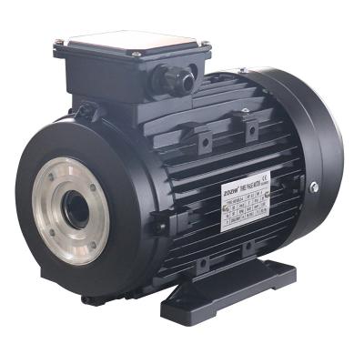China Zozhi High Torque Hollow Shaft Electric Motor 3kw 4hp For Interpump for sale