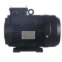 China 3 Phase Hollow Shaft Motor 24mm Shaft Diameter For Electric Pressure Washer for sale