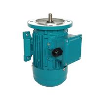 China Aluminum Housing Three Phase Asynchronous Motor High Efficiency for sale