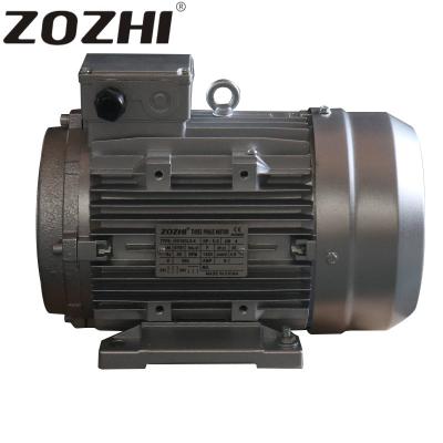 China Low Voltage IEC Solid Shaft Motor For High Pressure Washer Induction for sale