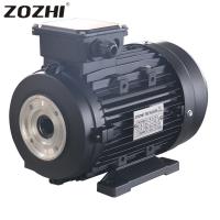 China Electric Motor 220V 380V 3 Phase Vertical Hollow Shaft Electric Start Motor for sale