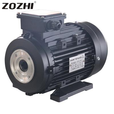 China Electric Motor 220V 380V 3 Phase Vertical Hollow Shaft Electric Start Motor for sale