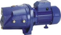 China Garden Sprinkling Self - Priming Electric Motor Water Pump JSP-255A 0.75HP for sale