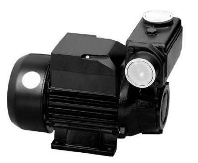 China TPS  Series Domestic Water Pumps Precision Casting Motor Housing 1HP / 0.75KW for sale