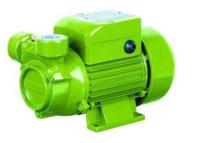 China Agricultural Electric Peripheral Water Pump High Pressure 0.5HP Cast Iron Body for sale
