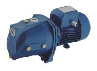 China Single Impeller Jet Pipe With a Nozzle Self Priming Pump For Three Floors House Boosting for sale