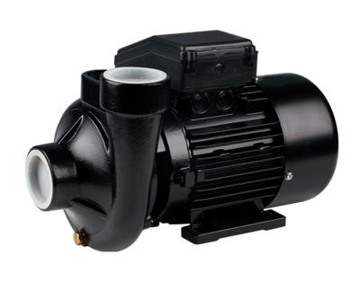 China Single Phase Heavy Flow Function AC Electric Pumps 2DKM -16 1.5HP for sale