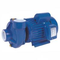 China Single Impeller Centrifugal Domestic Water Pumps 0.75HP For Household Watering for sale