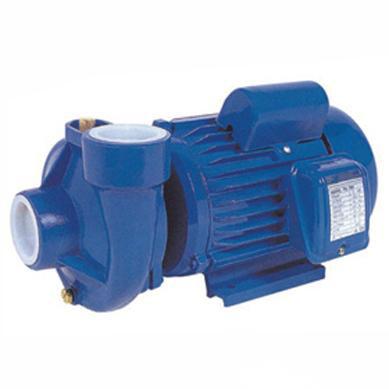China Single Impeller Centrifugal Domestic Water Pumps 0.75HP For Household Watering for sale