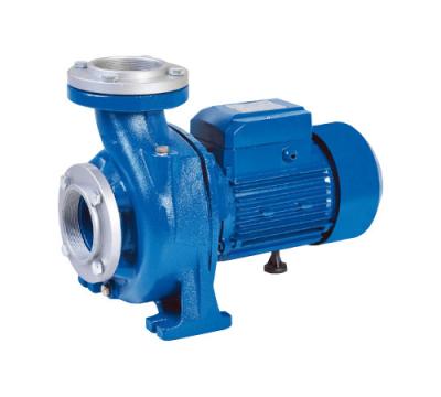 China NFM Series Micro Agricultural Water Pump For Clean Water 0.8HP / 0.6KW Three Phase for sale