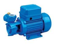 China Electric Clean Water Pump Electrophoresis Anti Rust Treatment 0.5HP / 0.37KW for sale
