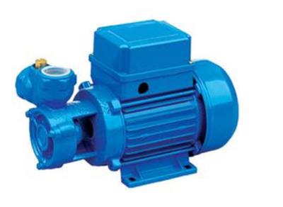 China Electric Clean Water Pump Electrophoresis Anti Rust Treatment 0.5HP / 0.37KW for sale