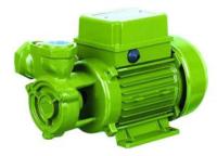 China Vortex Clean Water Submersible Pump 120V 0.75HP 0.8KW With Peripheral Impeller for sale