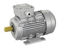 China MS Series Three-Phase Ac Electric Motor With Aluminium Housing for sale