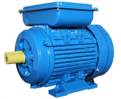 China MC Electric Start Capacitor Single Phase Induction Motor 220v 50hz 2800rpm for sale