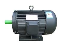 China Big Capacity Electric Three Phase Induction Motor 380v 50hz For Agriculture Machinery for sale