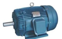 China High Efficiency Electric 3 Phase Induction Motor 660v AEEF Series for sale