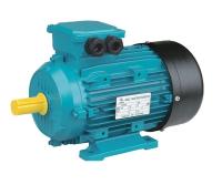 China 2 Pole Three Phase Asynchronous Motor For General Driving 0.12hp 0.09kw for sale