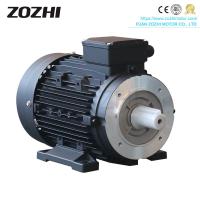 China IE3 Series Premium Efficiency Three Phase Asynchronous Motor for sale