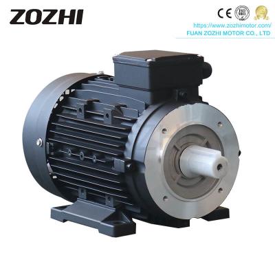 China IE3 Series Premium Efficiency Three Phase Asynchronous Motor for sale