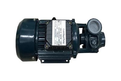 China Household Electric Motor Water Pump 1HP With Cast Iron Body ,  0.75KW Output Power for sale