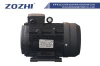 China Electric Pressure Washer Hollow Shaft Motor Three Phase 1390RPM Waterproof 0.75KW Flange Mount IE2 Efficiency for sale