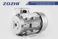 China Waterproof High Efficiency IE2 Three-Phase Induction Motor 0.55KW with Flange Mounting for Industrial Applications for sale