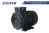 China 5.5KW Hollow Shaft Electric Motor with Three Phase and IP55 Protection for Industrial Applications for sale