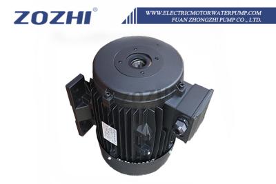 China ZOZHI  380V/440V Three-Phase Waterproof Hollow Shaft Motor for Pressure Washer Applications for sale