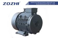 China 7.5kW Hollow Shaft Waterproof Three-Phase Asynchronous Motor for Pressure Washer Applications for sale