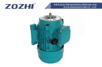 China 11KW 380V IP55 Waterproof Three-Phase Induction Motor with Flange Mounting for Industrial Applications for sale