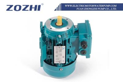 China 18.5kW Three-Phase Induction Motor with IP55 Waterproof Rating and Flange Mounting for Hydraulic Systems for sale