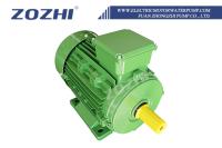 China 11kW High Efficiency Three-Phase AC Motor IP55 Waterproof for Industrial Applications for sale