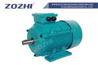 China Three-Phase Induction Pump Motor 0.75KW 220/380V 1390 RPM Waterproof Flange Mount IE2 ZOZHI for sale