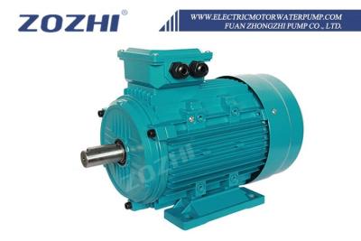 China Three-Phase Induction Pump Motor 0.75KW 220/380V 1390 RPM Waterproof Flange Mount IE2 ZOZHI for sale