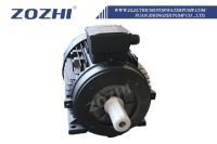 China Compact 0.75KW Three Phase Induction Motor with Flange Mount and Waterproof Design for Industrial Applications for sale