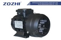 China Waterproof High Efficiency 3 Phase Induction Motor with IMB3/IMB5 Mounting for Industrial Applications for sale