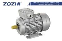 China High Efficiency Low Noise IP55 Protected IE2 Three Phase Induction Motor for Industrial Applications for sale