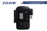 China Waterproof IE2 Efficiency Three-Phase Hollow Shaft Motor for High Pressure Washer Applications for sale